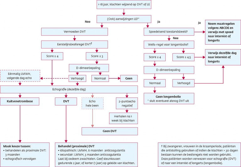 Diepveneuze trombose en longembolie | NHG-Richtlijnen