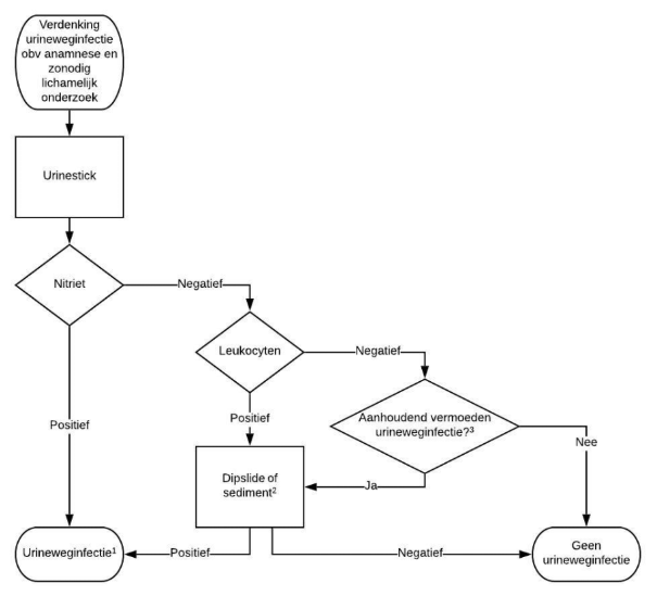 Urineweginfecties | NHG-Richtlijnen